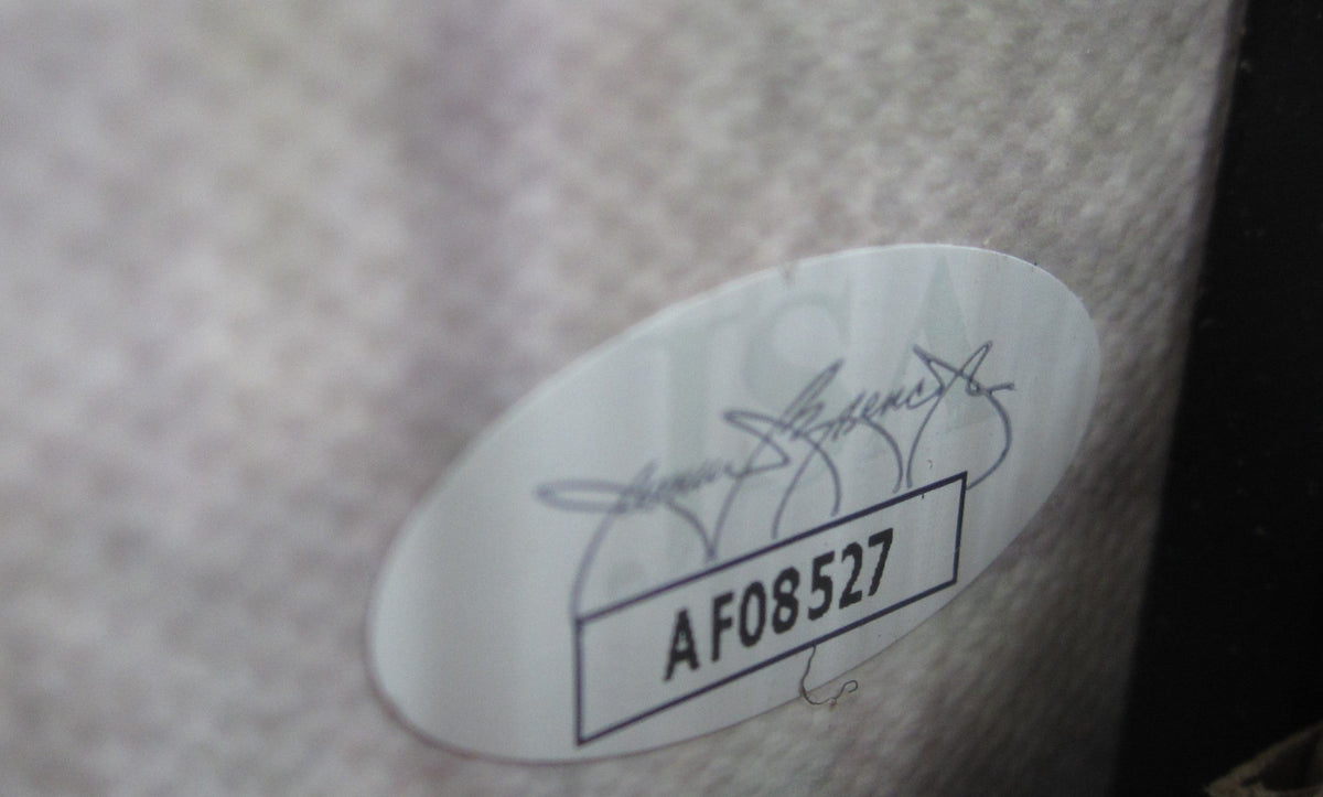 Ric Flair Hand Signed Autographed Large Canvas with 16X Inscription Fr ...